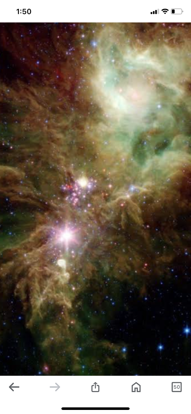 NASA’s James Webb Space Telescope Captures ‘Cosmic Christmas Tree ...