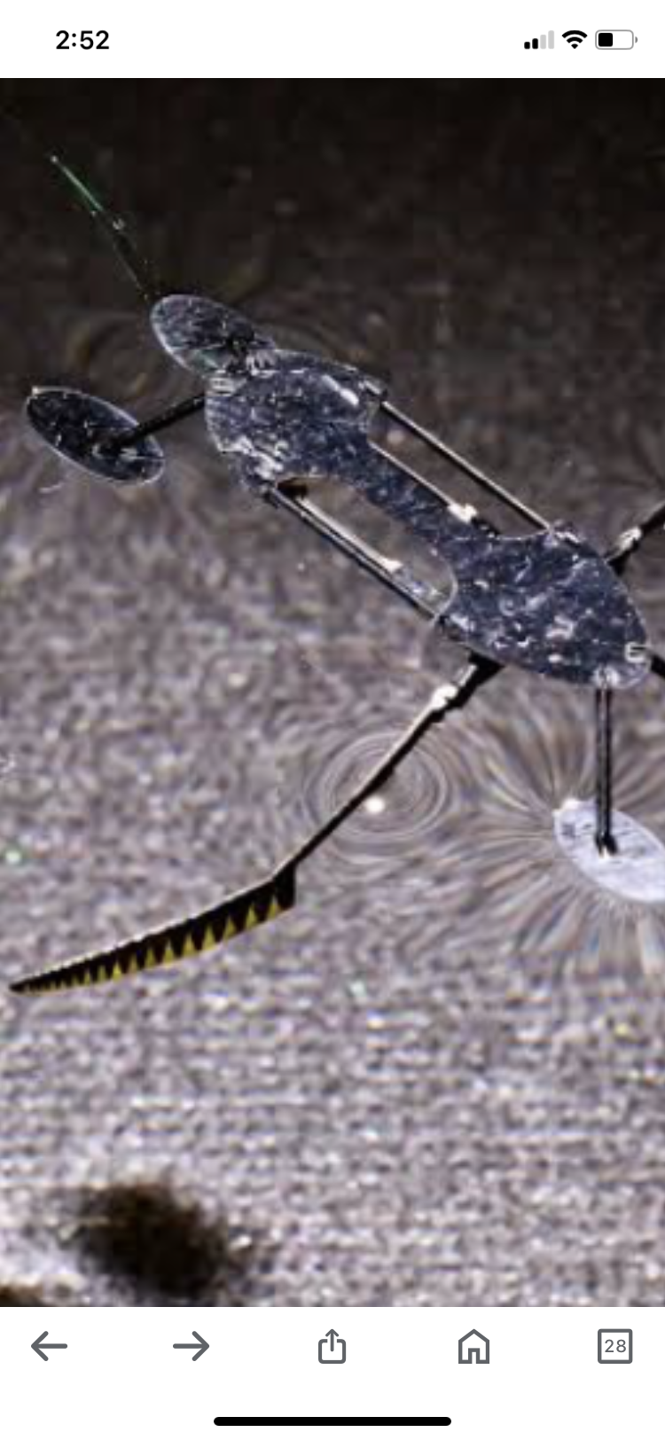 Scientists Have Created the World’s Smallest, Lightest, and Fastest ...