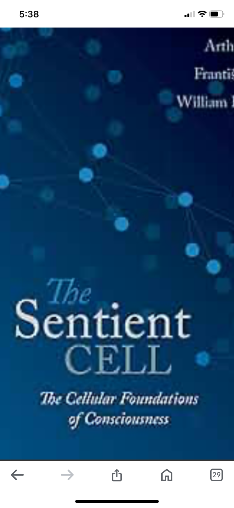 Do Cells Have Sentience? New Framework For Understanding Life And ...