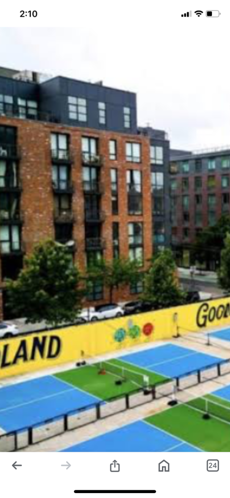 Goodland pickle ball ( 🎱 spreading in us and India) – Universe discoveries