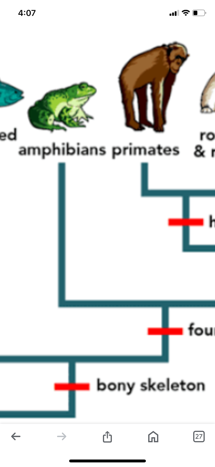 New Research Suggests Evolution Itself Evolves – Universe discoveries