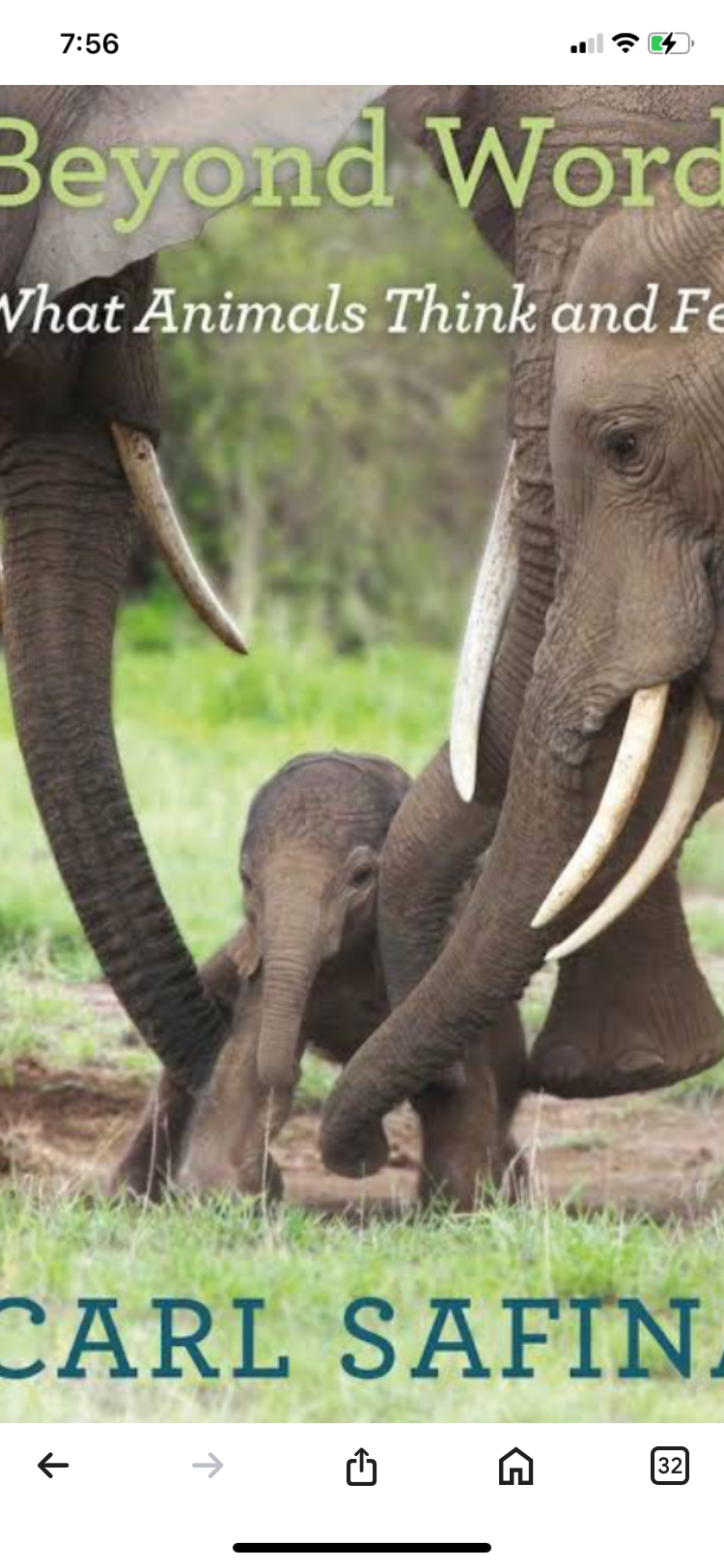 Do Animals Think and Feel Like Us? Scientists Reveal New Clues to Their ...